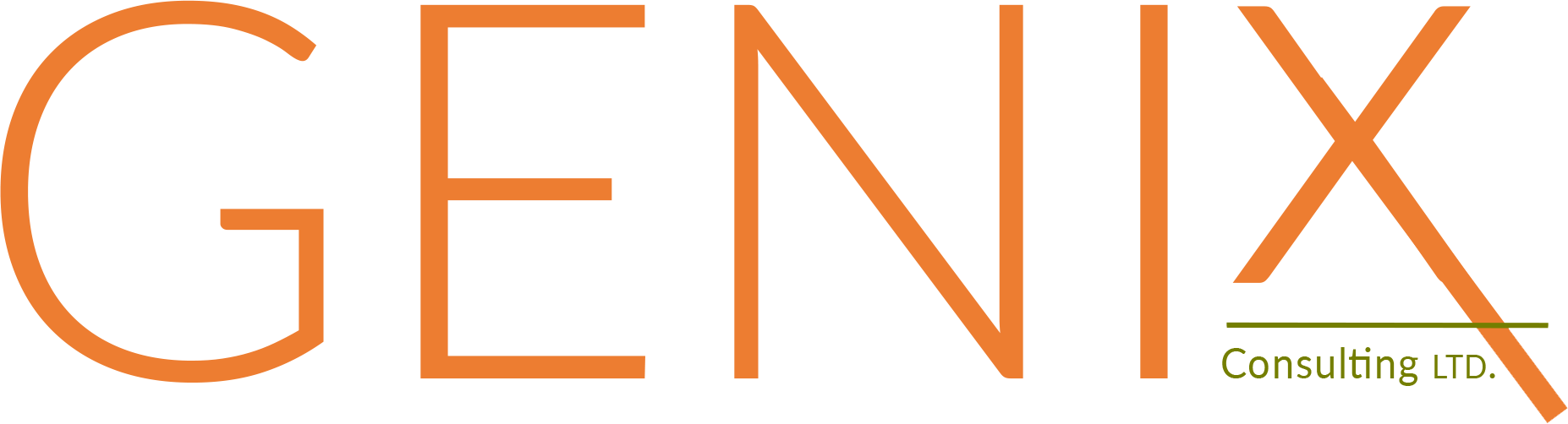 GENIX Consult LTD – A cyprus based consulting and development company.
